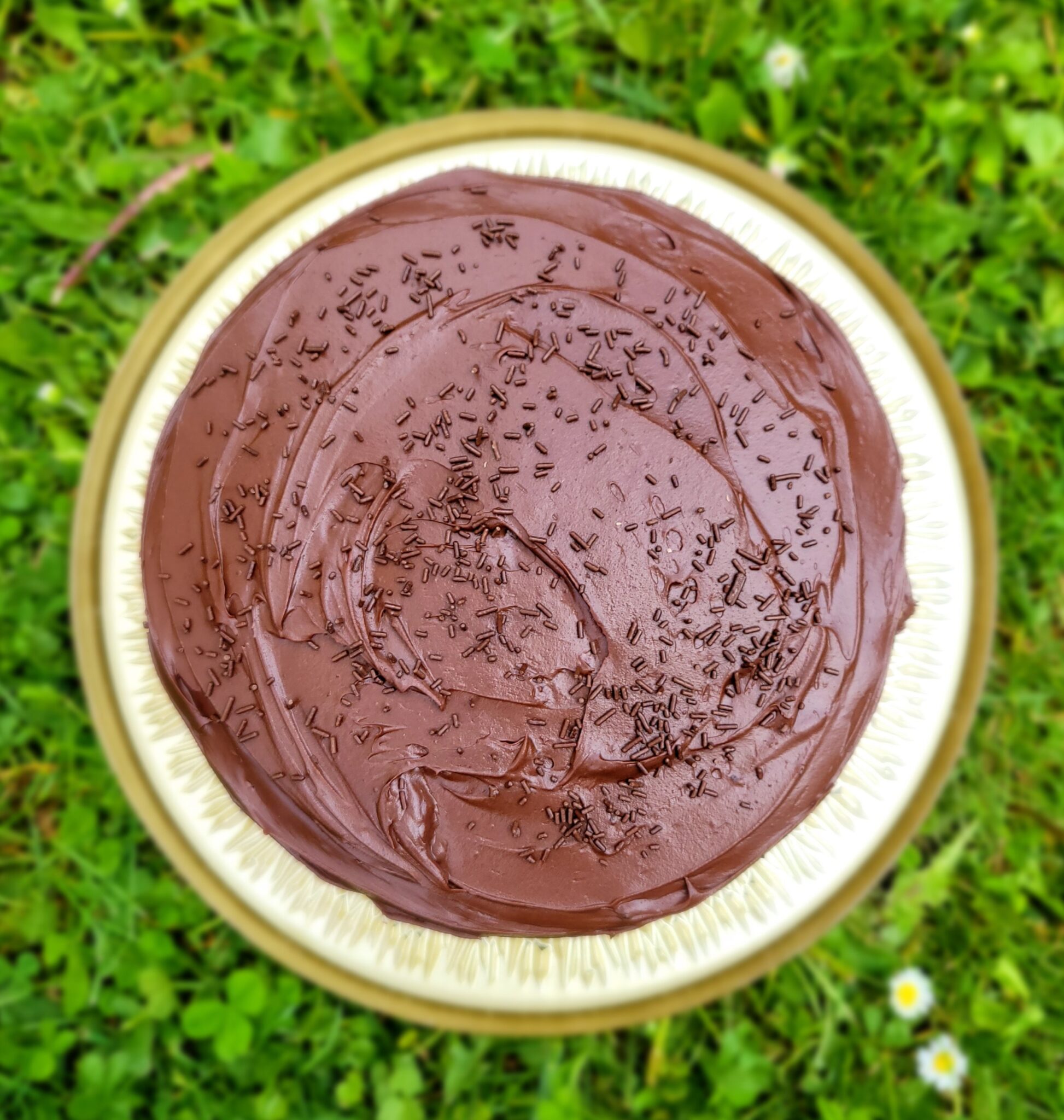 Papilles sucrées | Papilles à l'affût